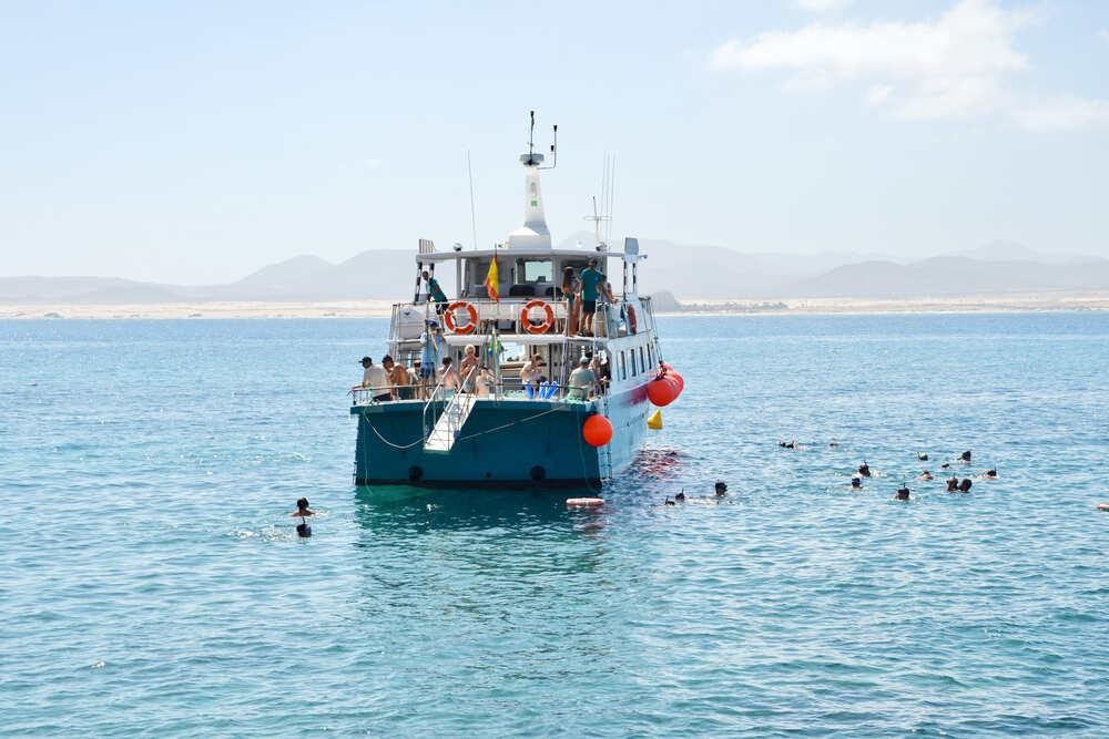 Guide to Visiting Lobos Island: How to Get There and What to Do
